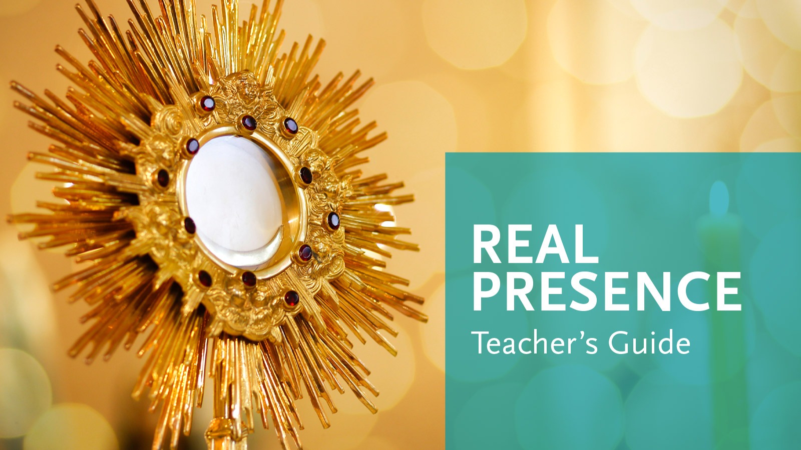 Religion Curriculum - My Catholic School